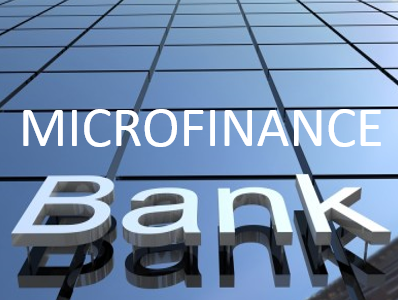 FULLY DIGITALIZED & FINTECH-ENABLED TIER ONE MICROFINANCE BANK FOR SALE ...